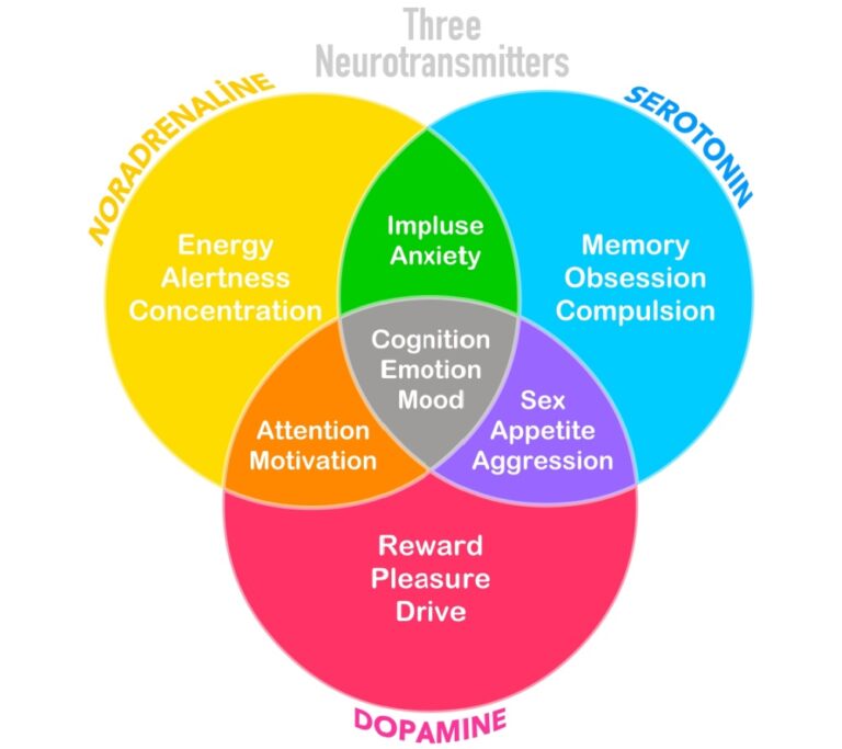 Have You Stopped Enjoying Life? Could Be Low Dopamine - Suzy Cohen, RPh ...