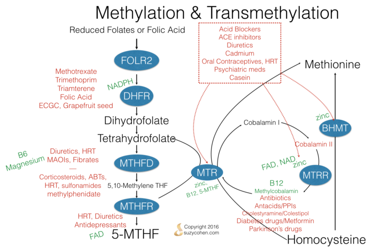NSAIDS Raise Homocysteine and Impair Methylation - Suzy Cohen, RPh ...