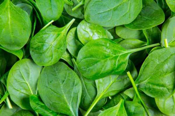 The 9 Most Delicious Lettuce Alternatives - Suzy Cohen, RPh offers ...