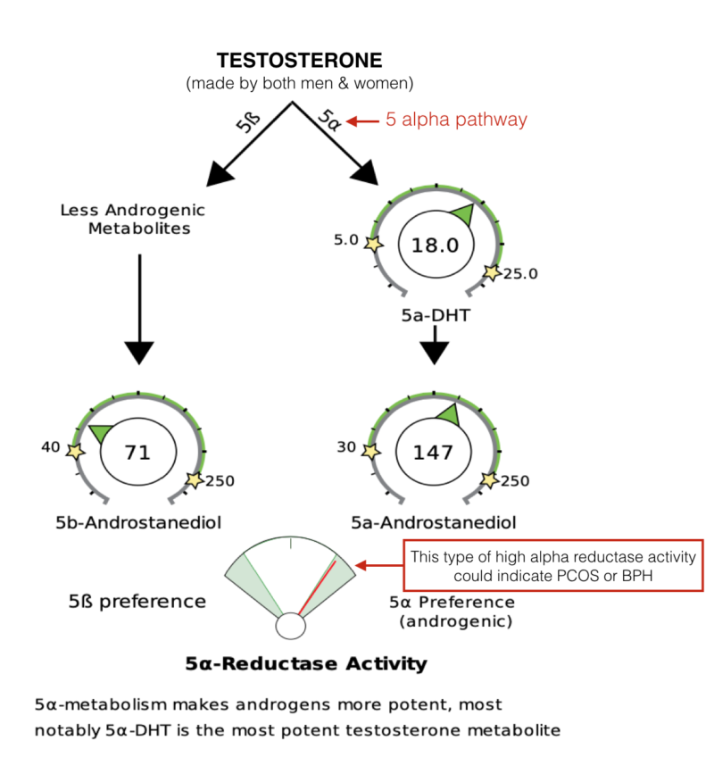6 Powerful Strategies for Men with Enlarged Prostate - Suzy Cohen, RPh ...
