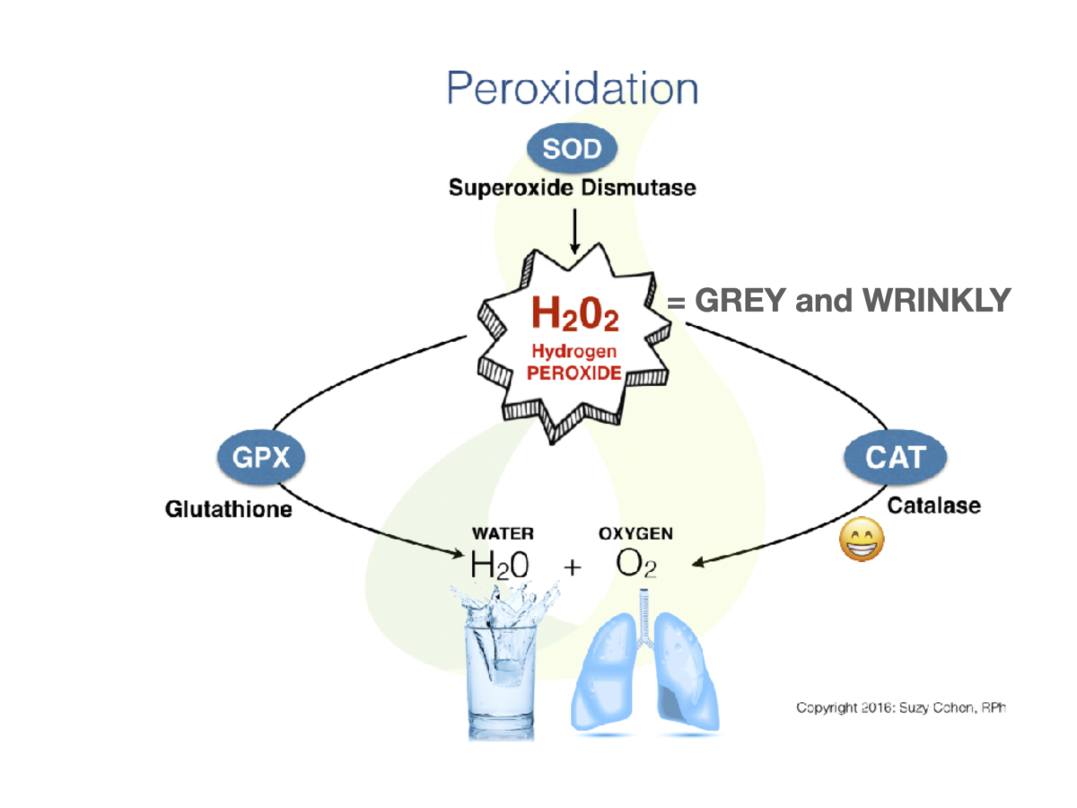 Make More Catalase It’s Good for Your Health - Suzy Cohen, RPh offers ...