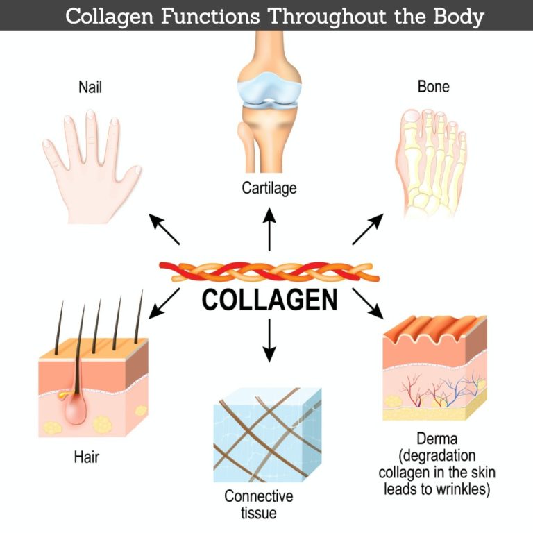 Clearing The Confusion About The Types Of Collagen Suzy Cohen Rph