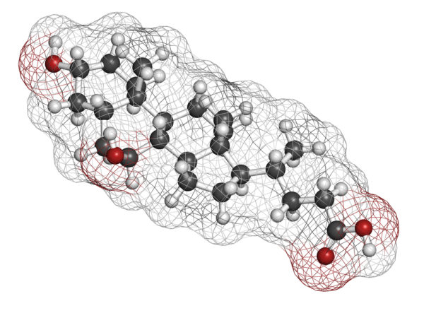 TUDCA and UDCA for Gallstones and SIBO - Suzy Cohen, RPh offers natural ...