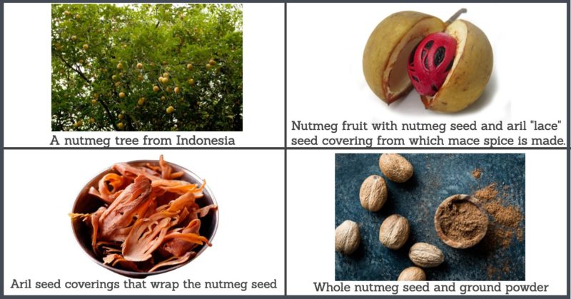 The Psychoactive Properties of Nutmeg Plus 5 Benefits - Suzy Cohen, RPh ...