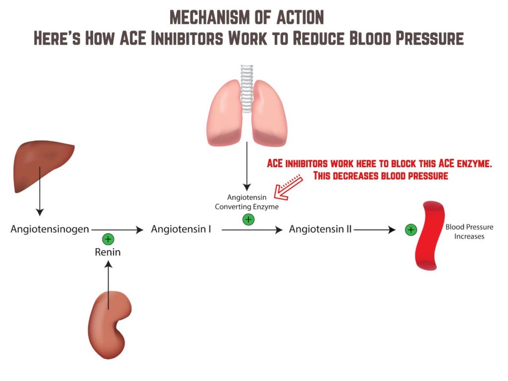 Great Heart Health Requires These 8 Natural ACE Inhibitors
