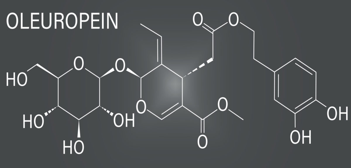 6 Critical Ways that Olive Oil Helps Painful Neuropathy - Even Small ...