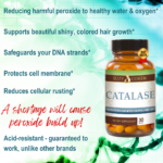 Catalase Neutralizes Peroxide and Offers 3 Healing Benefits - Suzy ...