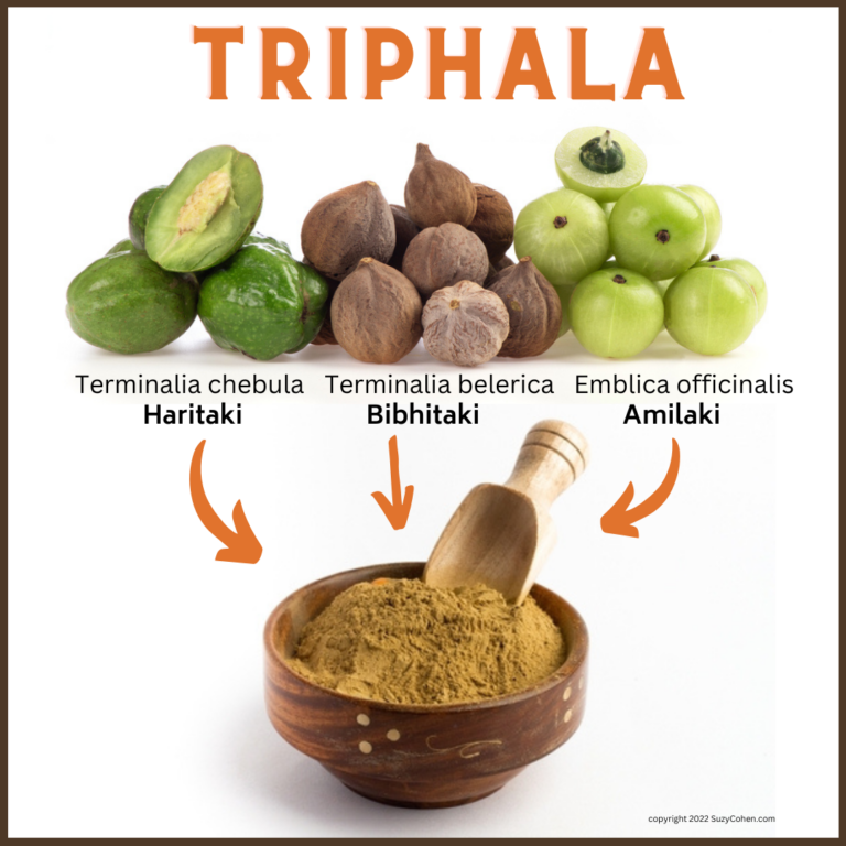 Triphala is a Remarkable Gut Soother for These 14 Problems - Suzy Cohen ...