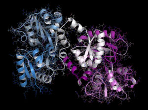 Embracing Lactoferrin: A Guide to 13 Natural Tactics for Autoimmune ...