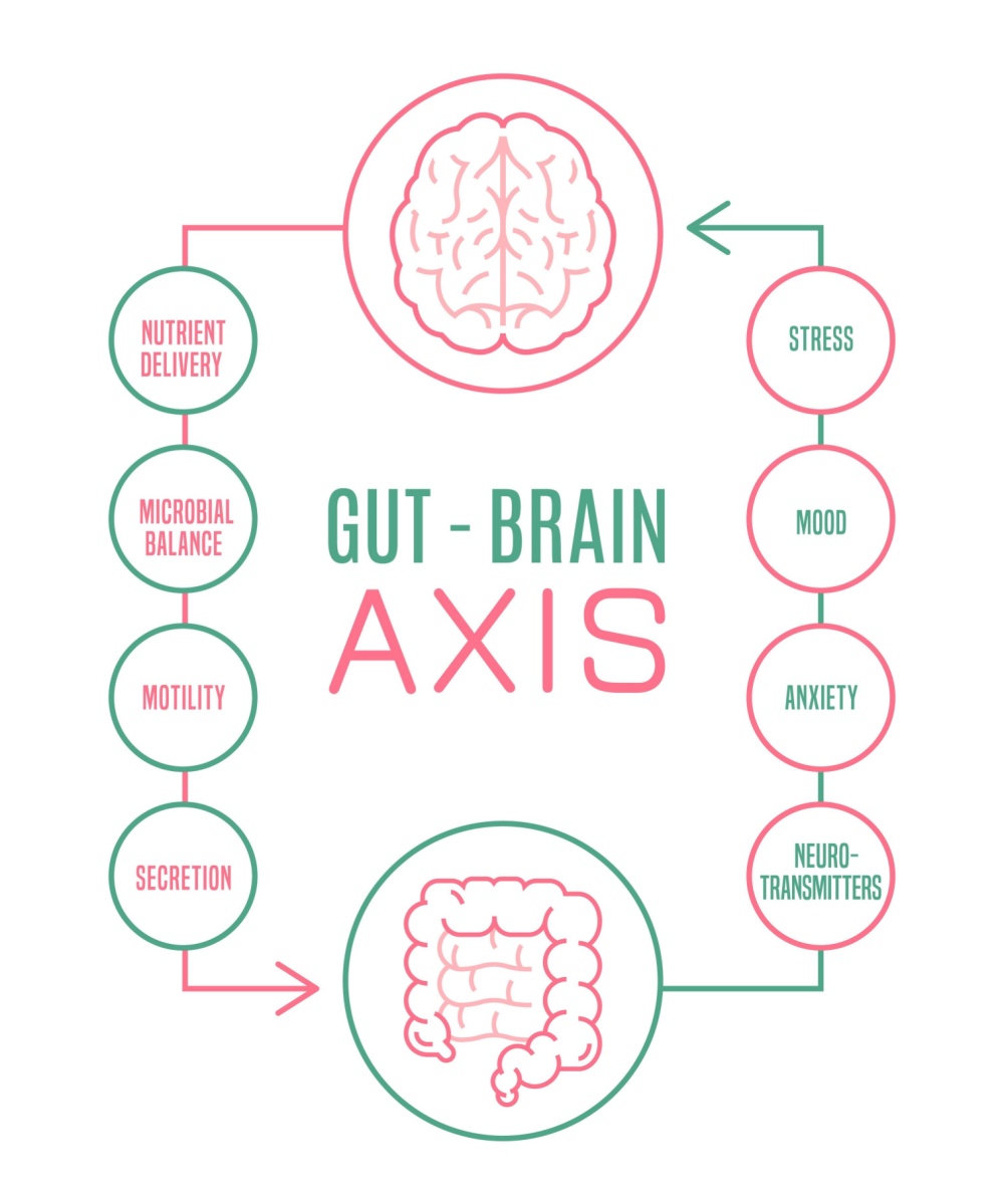 5 Tips to Boost Serotonin: How the Gut-Brain Axis Works - Suzy Cohen ...