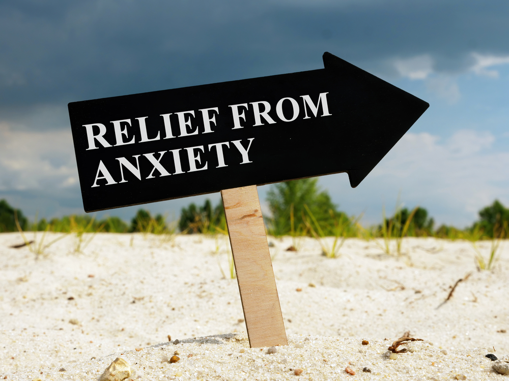 5 Key Neurotransmitters and 8 Solutions for Anxiety: Cure the Worry ...